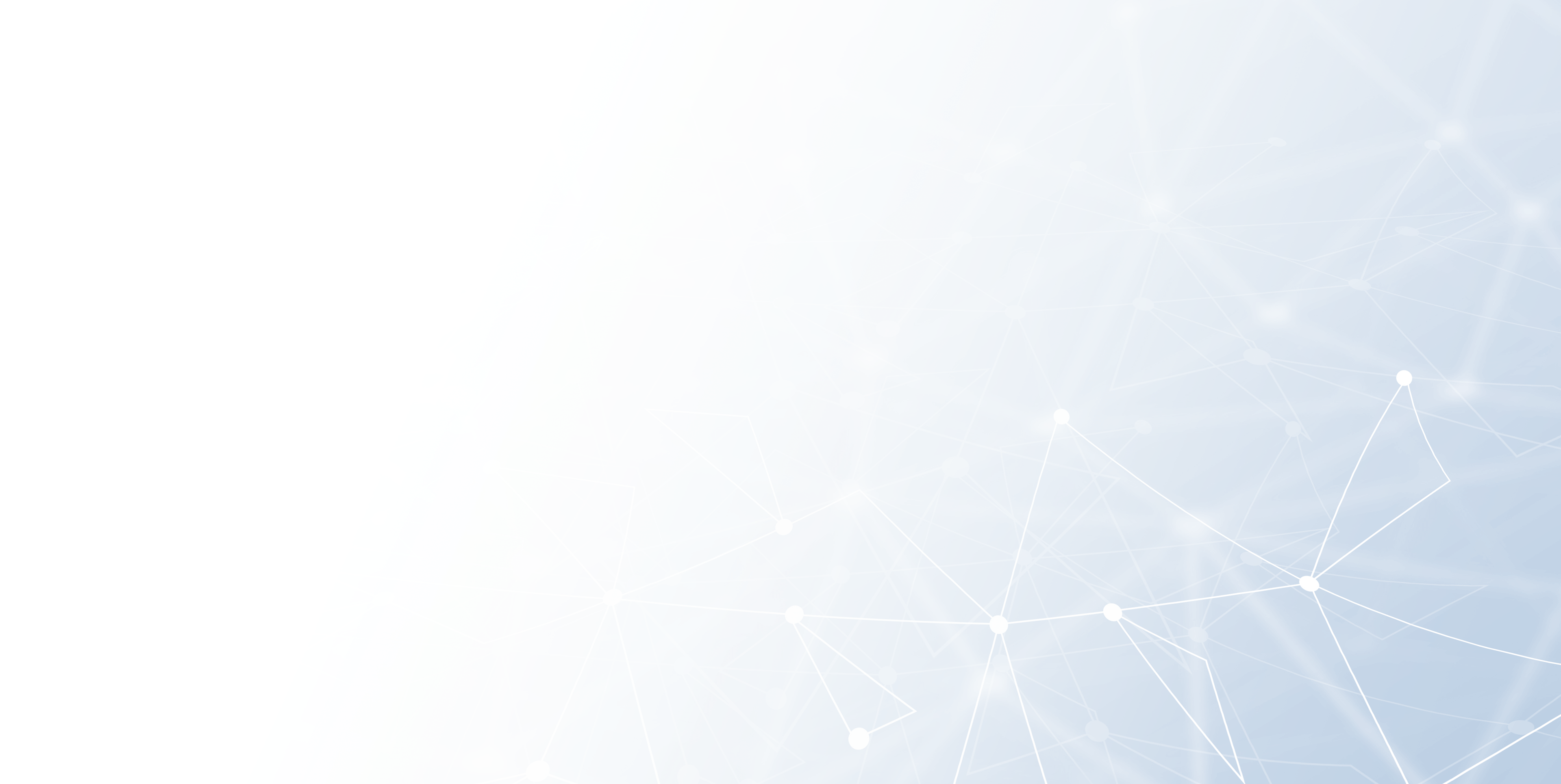 Ingram Micro Professional Services